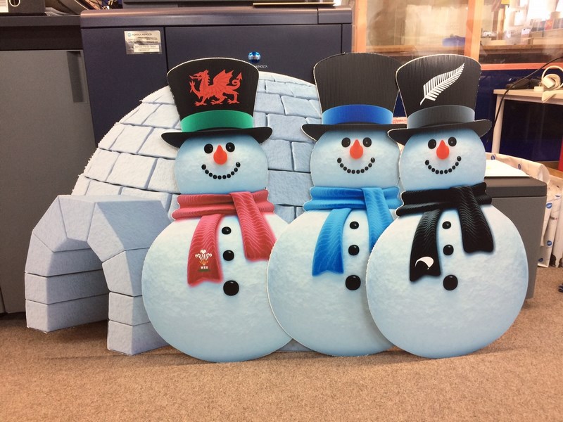 Real Cool Stuff Kapiti Paraparaumu - Waikanae